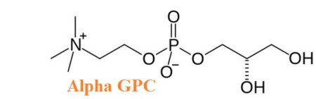 Alpha GPC - Purelife bio