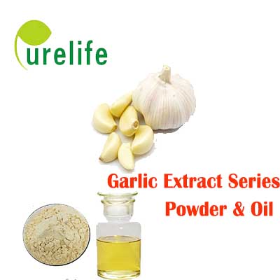 Garlic extract,Allium sativum,Garlic extract manufacturer|Purelife bio