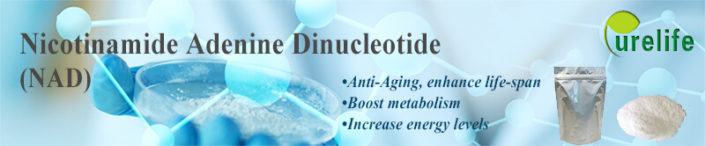 Nicotinamide Adenine Dinucleotide(NAD) - Purelife bio