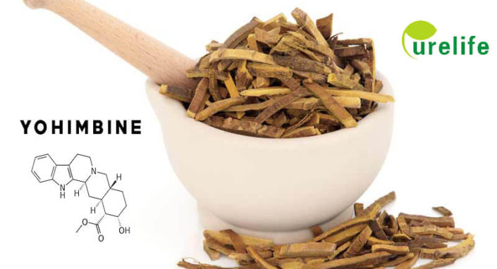 Yohimbine HCl - Purelife bio